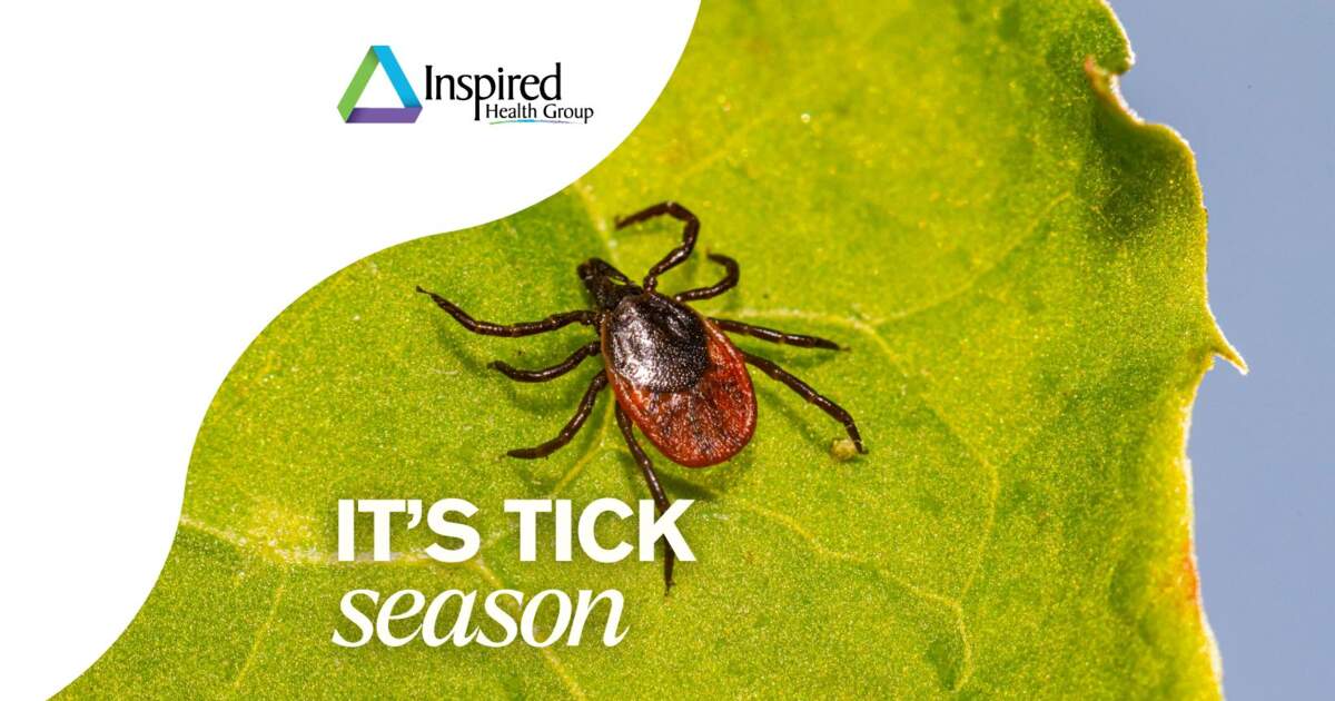 How to Remove a Tick